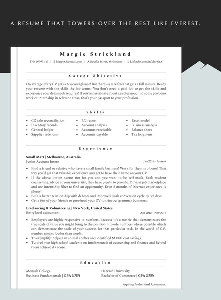 ATS Friendly Modern Accountant CV Template Margie-Strickland – Career ...